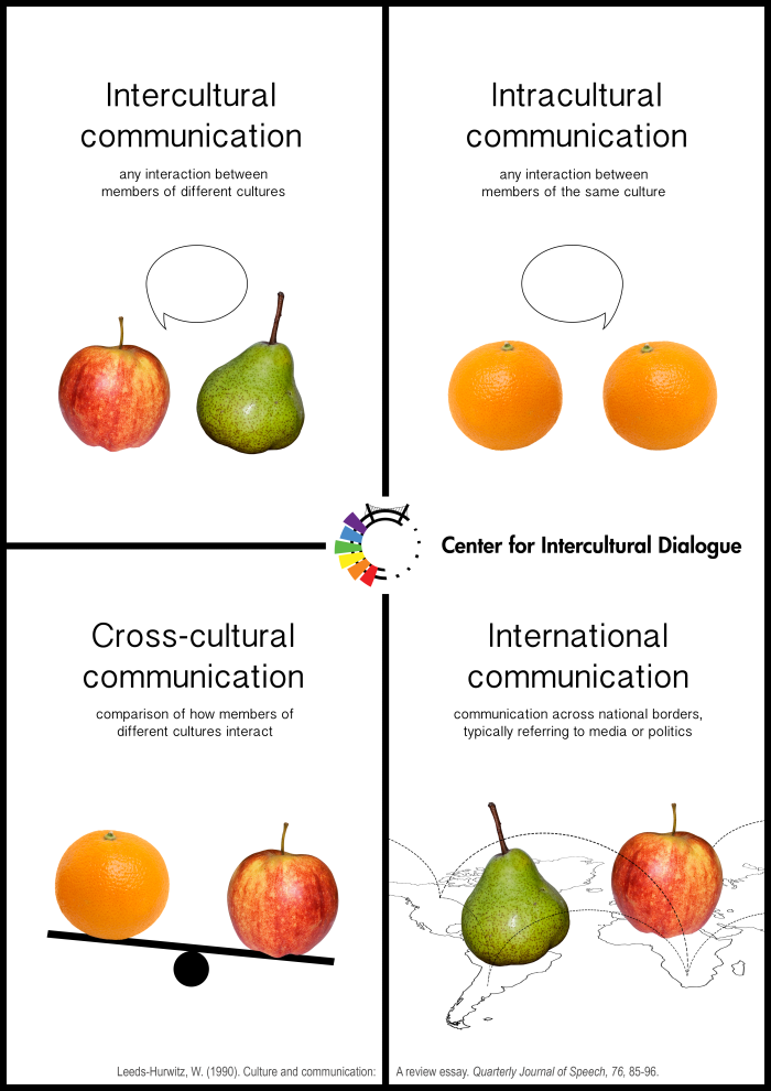 ICUU : enhancing intercultural competences for students ...